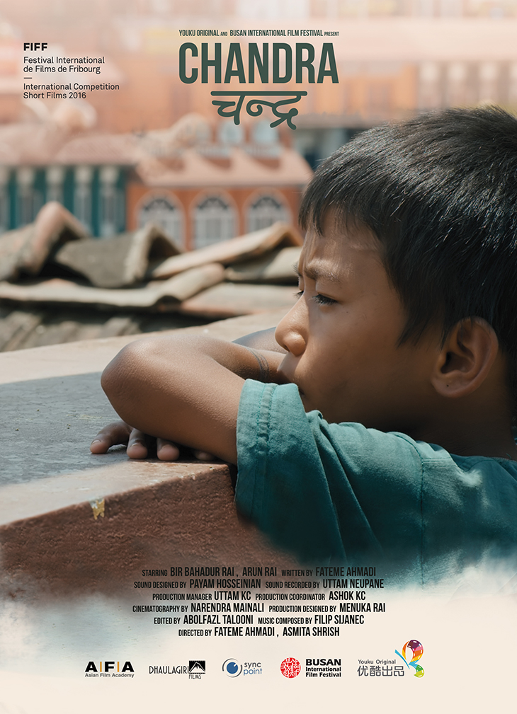 Fateme Ahmadi | Sayle Screen